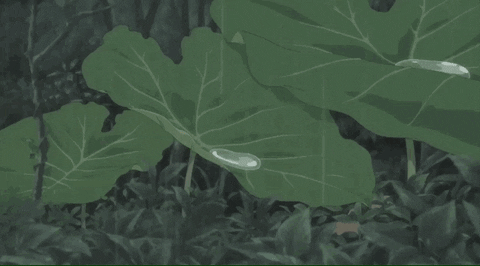 Letters By Shells GIFs - Get the best GIF on GIPHY