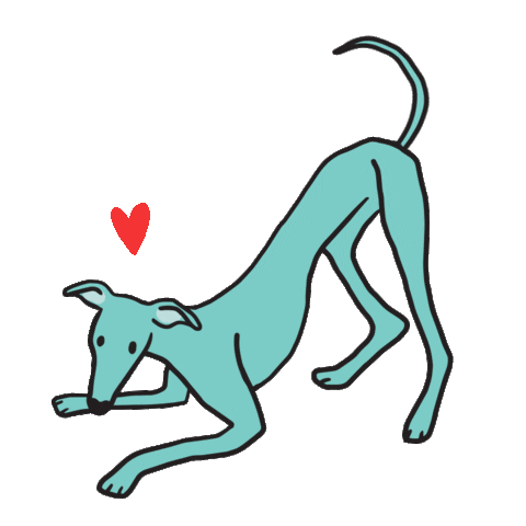 Dog Love Greyhound Sticker by elgalgoazul for iOS & Android | GIPHY