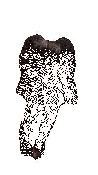 BIG FAT RAVE GIFs on GIPHY - Be Animated