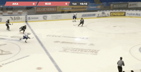 Univerzitní hokej GIFs on GIPHY - Be Animated