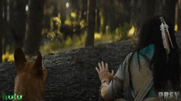 PREY - Now Streaming on Hulu GIFs on GIPHY - Be Animated