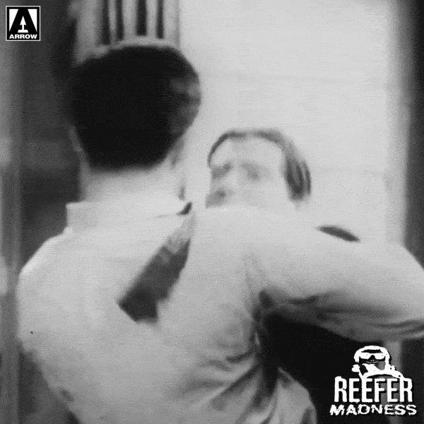 Scary Movie Fight GIF by Arrow Video - Find & Share on GIPHY