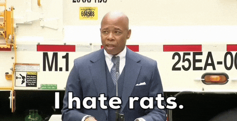I-hate-rats GIFs - Get the best GIF on GIPHY