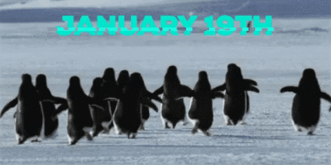 January Nineteenth GIFs - Get the best GIF on GIPHY