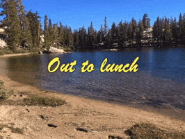 Out To Lunch GIFs - Find & Share on GIPHY