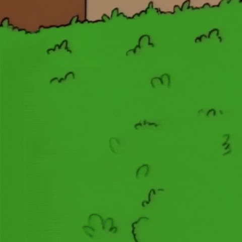 Funny Quack GIFs - Get the best GIF on GIPHY