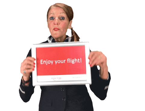 Enjoy-your-flight GIFs - Get the best GIF on GIPHY