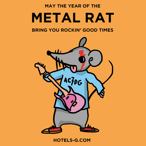 Rockin-good-time GIFs - Get the best GIF on GIPHY