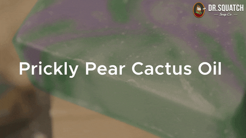 Prickly Pear GIFs - Get the best GIF on GIPHY