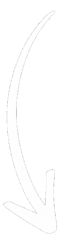 This rare rainforest tree is mass flowering in outback Queensland - ABC ...