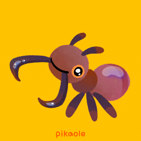 Bug Insect GIF by pikaole - Find & Share on GIPHY