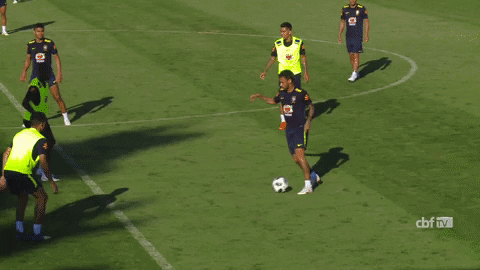 Selecao Brasileira GIF by Confederação Brasileira de Futebol - Find ...