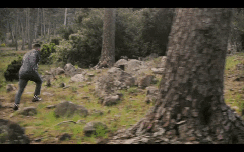 Run In The Woods GIFs - Get the best GIF on GIPHY