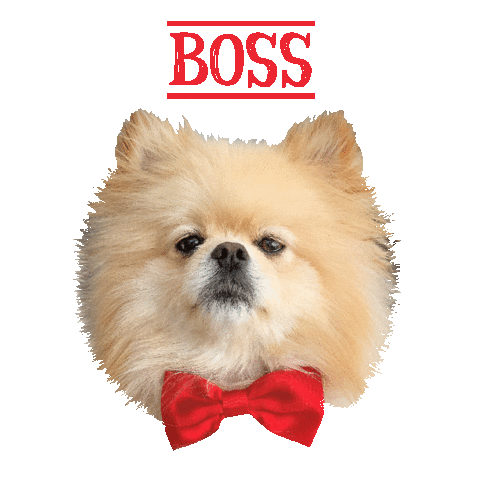 Out Of Office Dog Sticker for iOS & Android | GIPHY