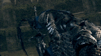Artorias The Abysswalker Gif