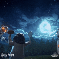 Triwizard Turnering Gif