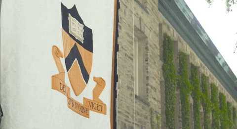 Princeton Commencement GIFs - Get the best GIF on GIPHY