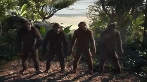 Adventure Of A Lifetime GIF by Coldplay - Find & Share on GIPHY