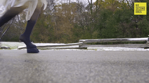 In-the-hoof GIFs - Get the best GIF on GIPHY