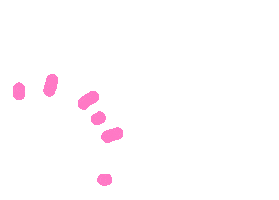 Pink Line Sticker for iOS & Android | GIPHY