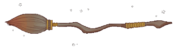 Broom Sticker for iOS & Android | GIPHY