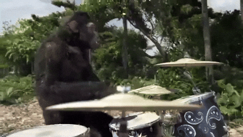 Adventure Of A Lifetime GIF by Coldplay - Find & Share on GIPHY