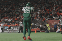 Football Touchdown Celebration Gif