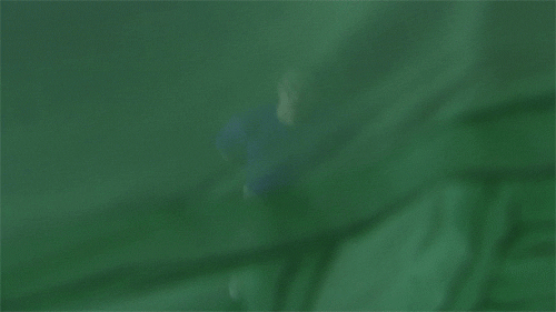 Fabric Sculpture GIFs - Get the best GIF on GIPHY