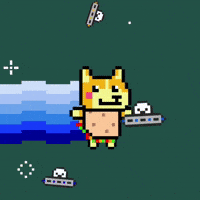 Doge Nyan Cat