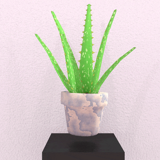 Plant Float GIF by jjjjjohn - Find & Share on GIPHY