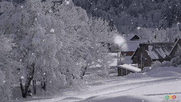 GIFs for All Winter Lovers by echilibrultau | GIPHY