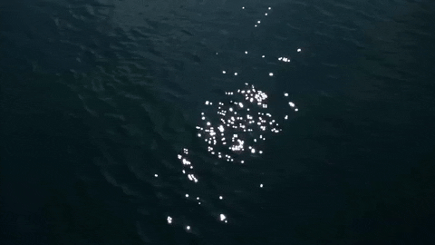 Water Mar GIF by jorgemariozuleta - Find & Share on GIPHY