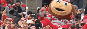 Ohio State Football GIFs - Find & Share on GIPHY