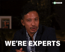 Ask the Experts - I'm looking for an external expert in the gaming ...