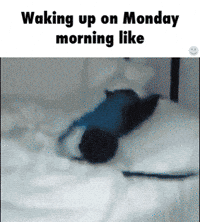 Wake Up Now Gif