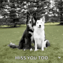 Missed-you-too GIFs - Get the best GIF on GIPHY
