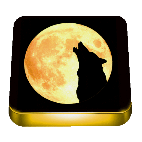 Dj Khaled Sticker by djlobo for iOS & Android | GIPHY