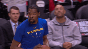 2019-nba-finals GIFs - Get the best GIF on GIPHY
