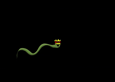 King Worm GIFs - Get the best GIF on GIPHY
