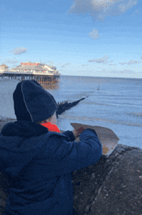 Fish Chips GIFs - Get the best GIF on GIPHY