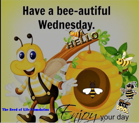 Animated Bee Gif