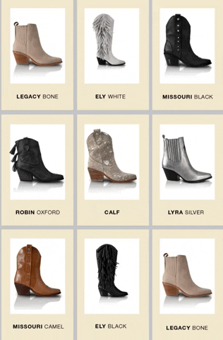 Black-robin GIFs - Get the best GIF on GIPHY