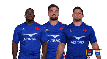 XV de France masculin GIFs on GIPHY - Be Animated