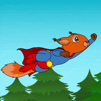 Flying-squirrel GIFs - Get the best GIF on GIPHY