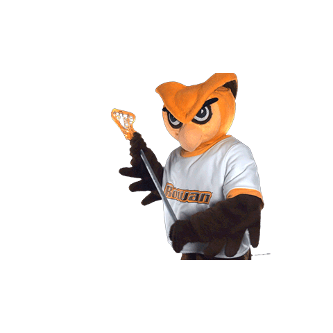 Ncaa Mascot Sticker by Rowan University for iOS & Android | GIPHY