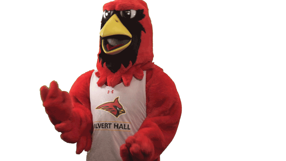 Calvert Hall College High School Sticker for iOS & Android | GIPHY
