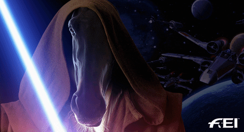 Star Wars Horse GIF by FEI Global - Find & Share on GIPHY