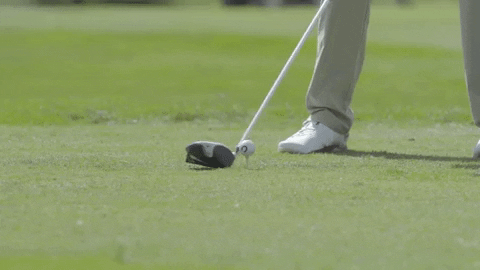 Golf Drive GIF by Colgate Athletics - Find & Share on GIPHY