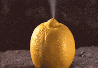 Best squeezing GIFs - Primo GIF - Latest Animated GIFs
