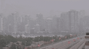 Wildfire Smoke GIFs - Find & Share on GIPHY